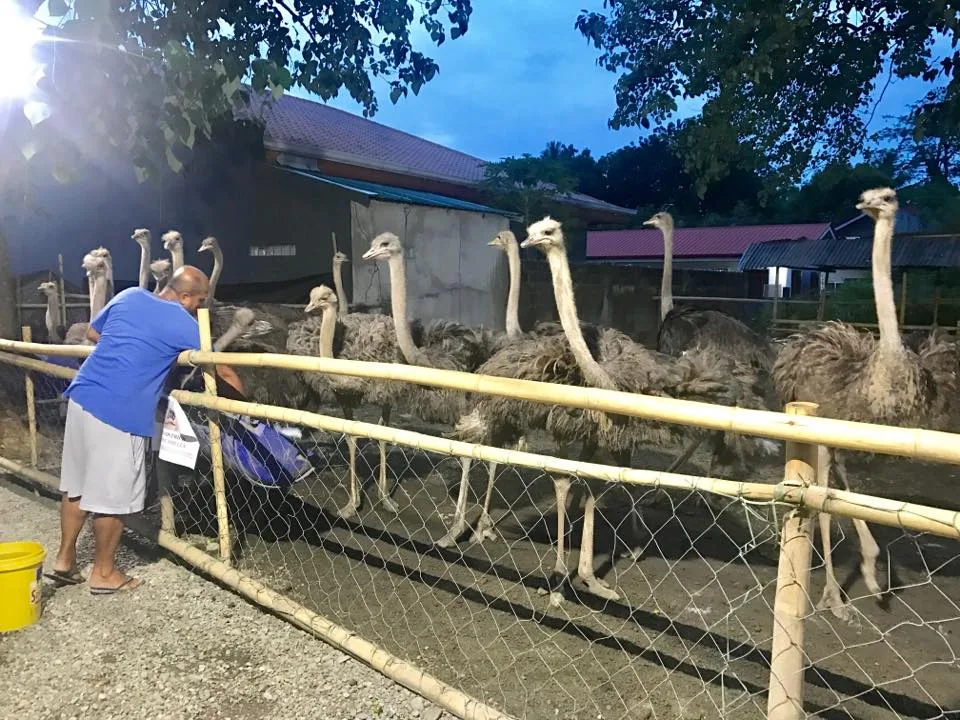 Experience the Beauty of Aklan: Top Tourist Spots to Visit in 2023